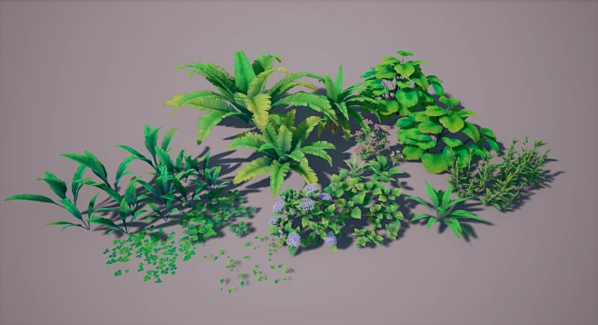 ningmeng-foliage.jpg (1920×1044)-花瓣网