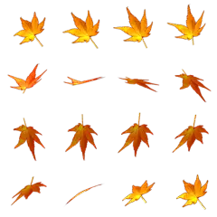 特效_序列帧图片大全-特效_序列帧高清好看的图片--花瓣从理不从文的画板