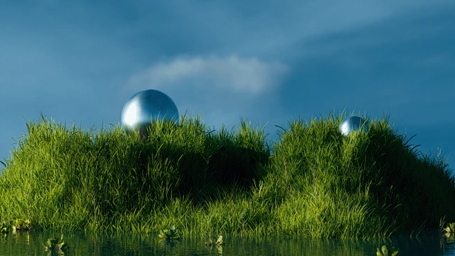 Random Nature-花瓣网