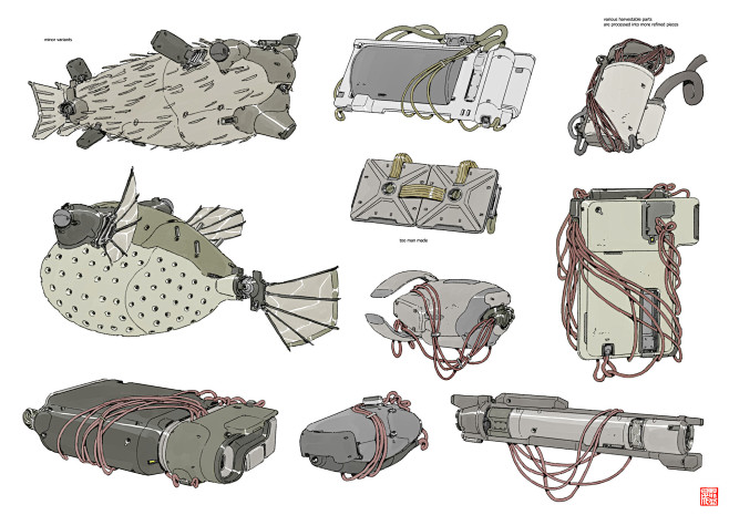 sheng-lam-puffer-fish-2