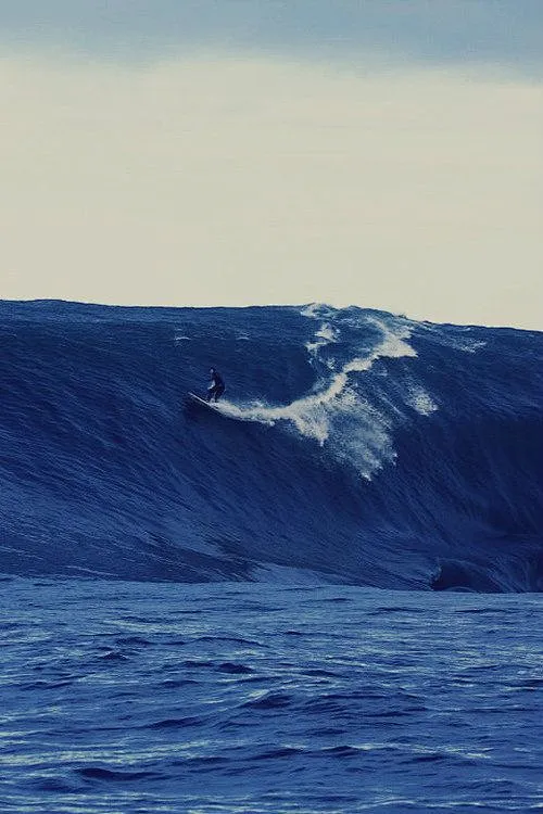 big wave-花瓣网