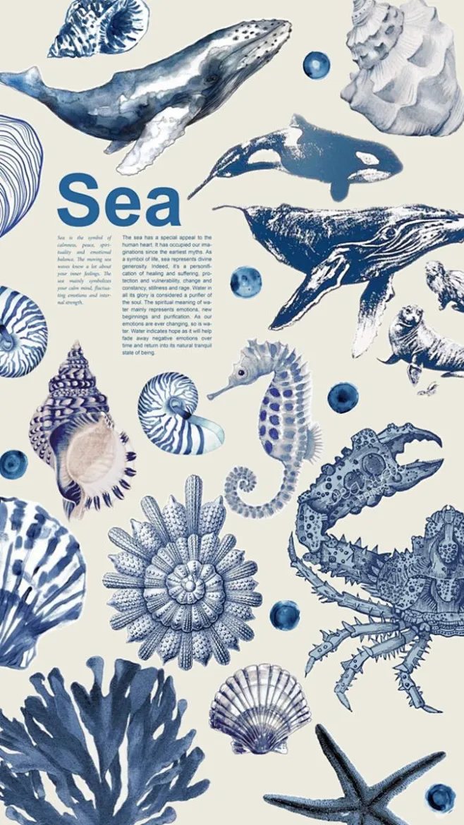 navy girly undersea water ocean beachy blue animals whales shells ...