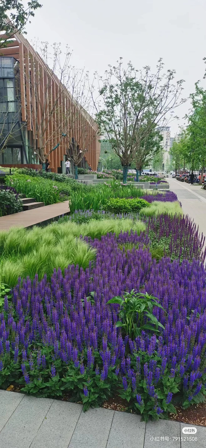 Camera_XHS_16934705747731000g0082q0e6vrajm0205ni0712g8inq2t4l4i0-花瓣网