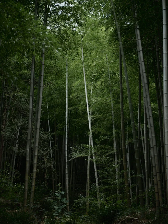 01-83-scaled-花瓣网