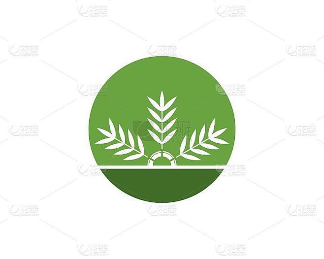 Bamboo leaf icon vector