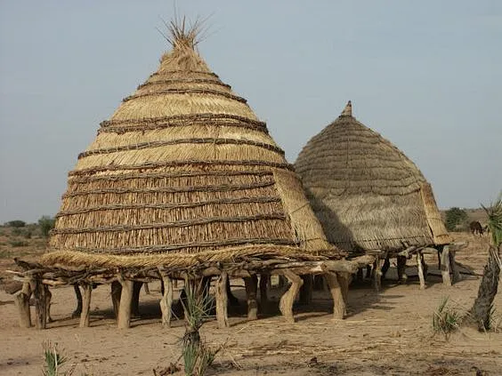 Africa | Traditional granaries. southern Niger | ©Peter Stong: -花瓣网