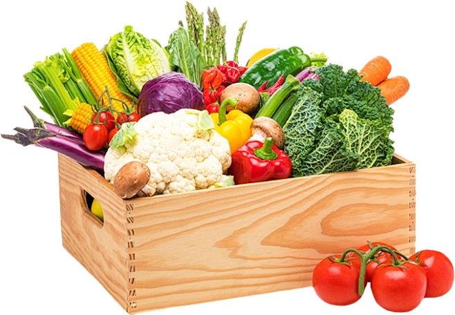 3cc3ef6c-6a73-43f7-b2f2-5da11af5ab65-花瓣网