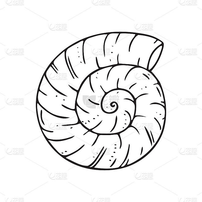 涂鸦贝壳，手绘海符号。化石海螺由墨、笔绘制。