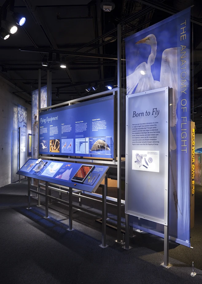 Perot Museum | Group Delphi Museums : OUR CHALLENGE It’s never easy to ...