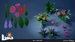 植物图片大全-植物高清好看的图片--花瓣Bing0bin的画板