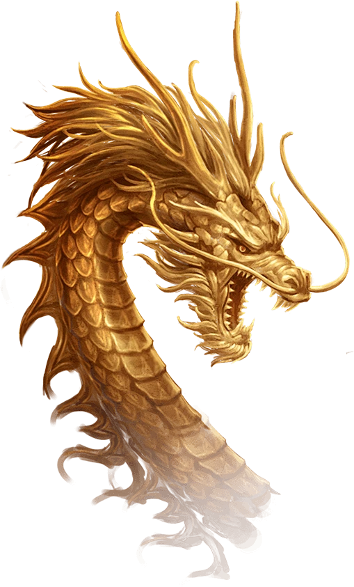 dargon.png (509×843)-花瓣网