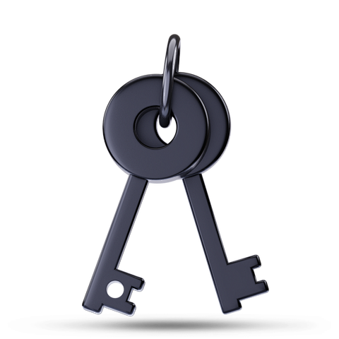 Keys front view - 60款黑色金融理财3D图标合集 3D Crypto Icon Set