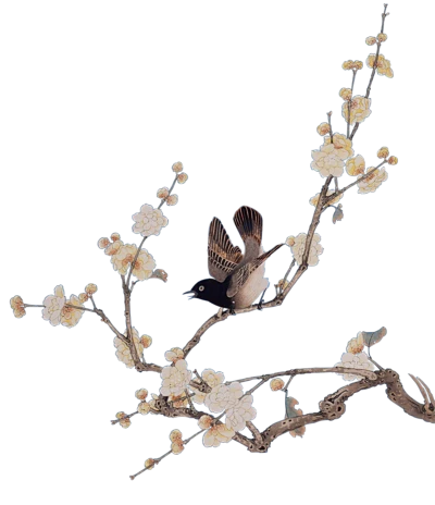 【米图网-52mitu.com】鸟 梅花 国画cc国画鸟-花瓣网