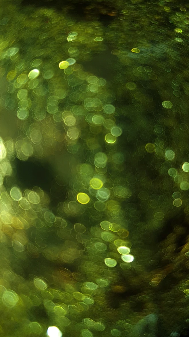 Light Effect Filters (15)-花瓣网