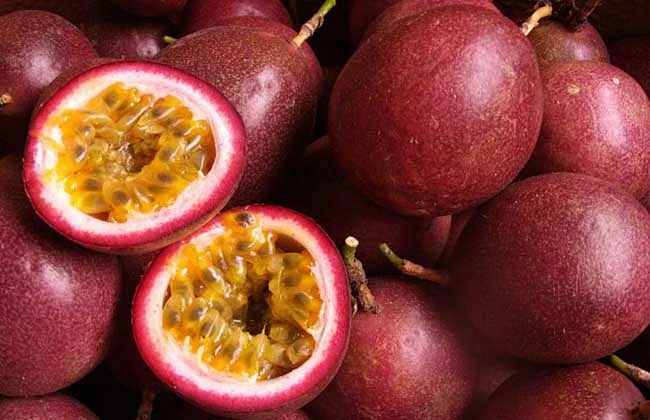 花瓣灵感详情页-花瓣网