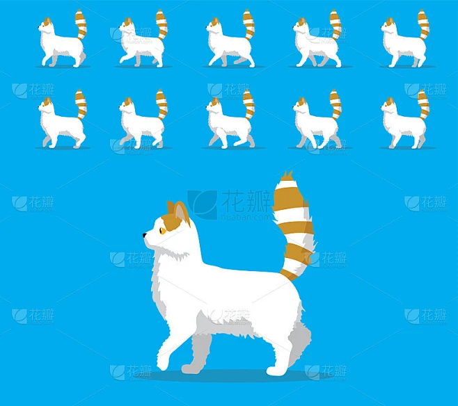 Animal Animation Sequence Cat Turkish Van Cartoon 图片_其他图片图片素材-花瓣网