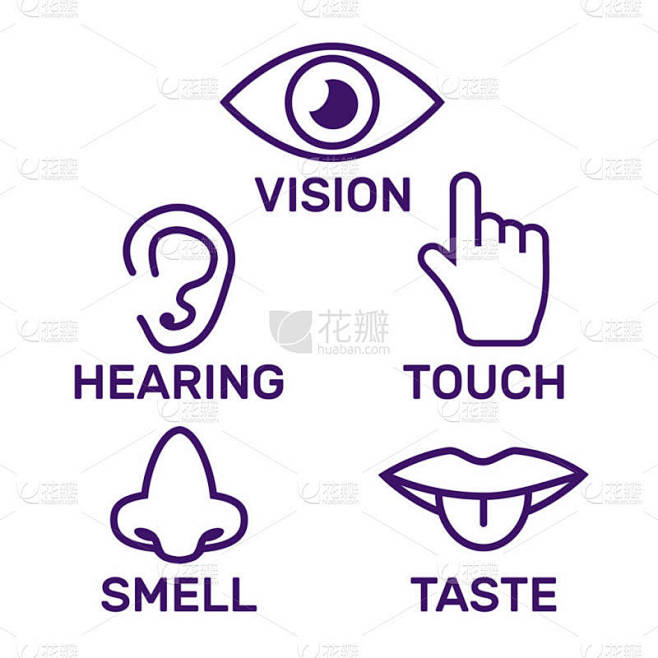 图标人的感官: 视觉, 嗅觉, 听觉, 触觉, 味觉。图标 s