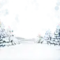 冬天 雪-花瓣网
