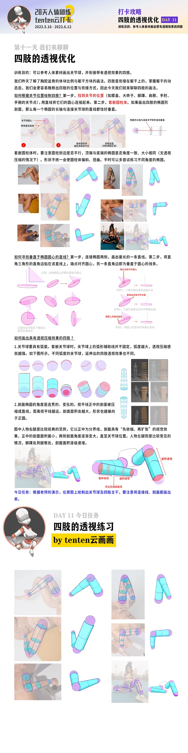 day11-四肢的透视优化-花瓣网