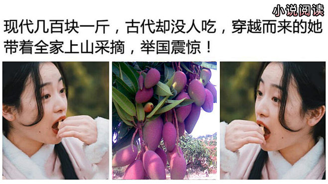 女-古言-大图-无-26LSQ-1101 (4)