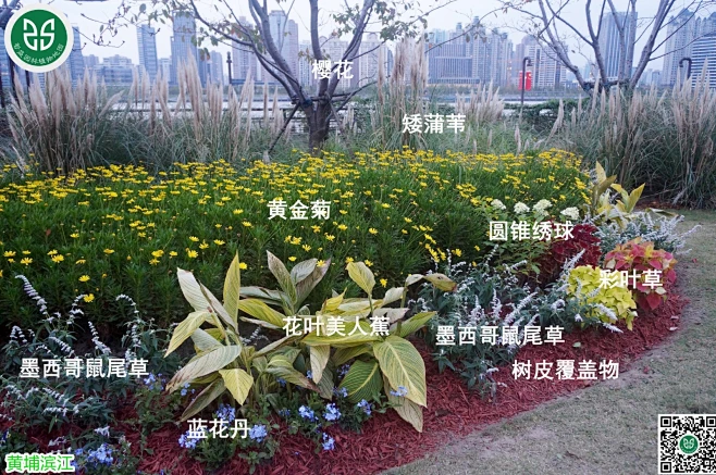 道路：上海市（2020年10月）-花瓣网