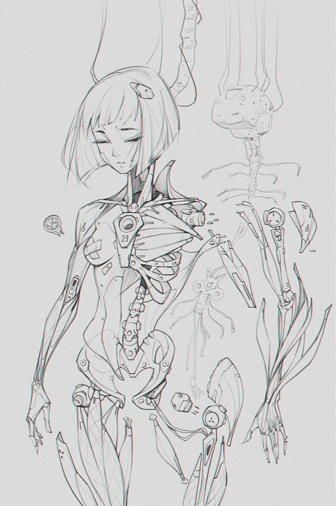 fengwei-cui-03-3-花瓣网