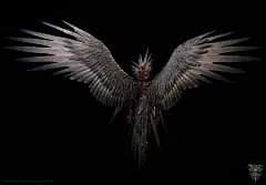 Harpy - Baldur's Gate 3-花瓣网