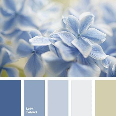 pale blue color-花瓣网