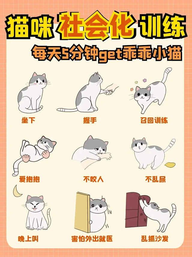 科学训猫 - 小红书搜索-花瓣网