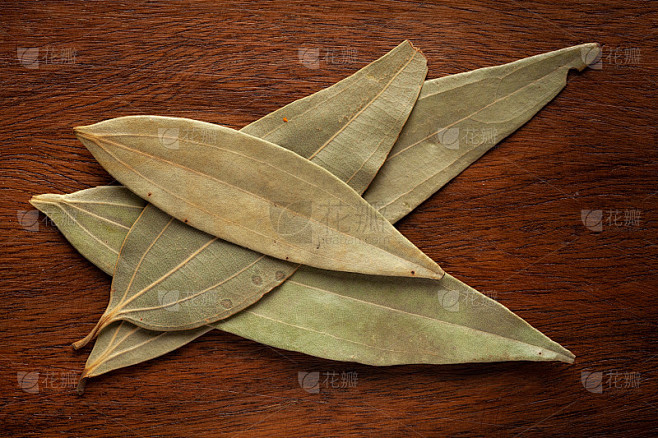 有机印度月桂叶(肉桂塔玛拉)tezpatta的微距特写在木制的顶部背景。一堆印度香料。