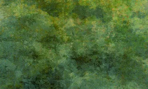 Green Texture: -花瓣网
