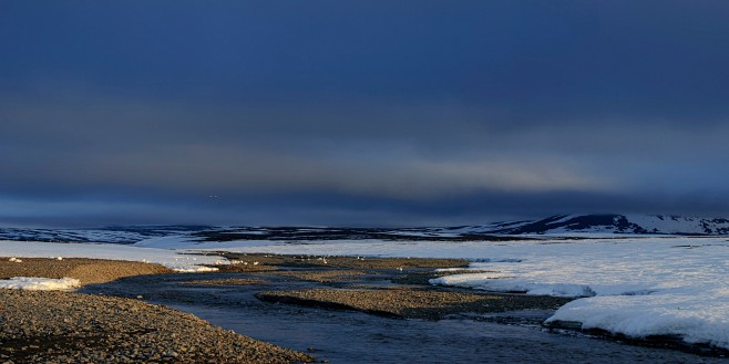 1648618734_56-vsegda-pomnim-com-p-ostrov-vrangelya-foto-69