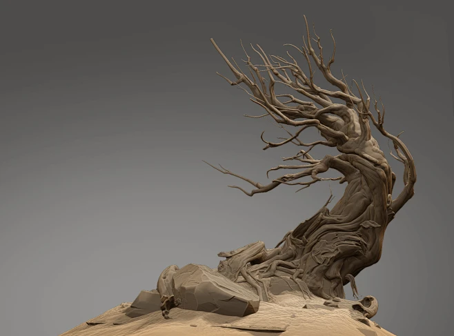 Tree practice-花瓣网