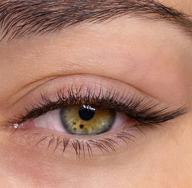 ♻️Top Lashmaker (@i_am_a_lashmak_e9ccb129-花瓣网