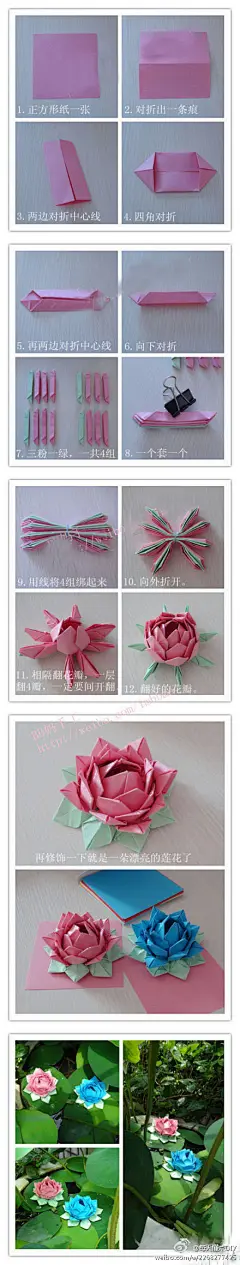 折纸图片大全-折纸高清好看的图片--花瓣HHHHHlll的画板