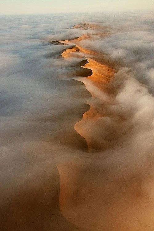 benbentobox-花瓣网