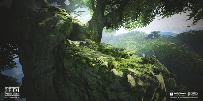 Star Wars Jedi: Fallen Order|Kashyyyk Origin Tree-花瓣网