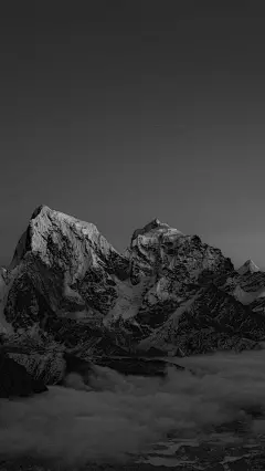 背景素材图片大全-背景素材高清好看的图片--花瓣橘子小汤圆的画板