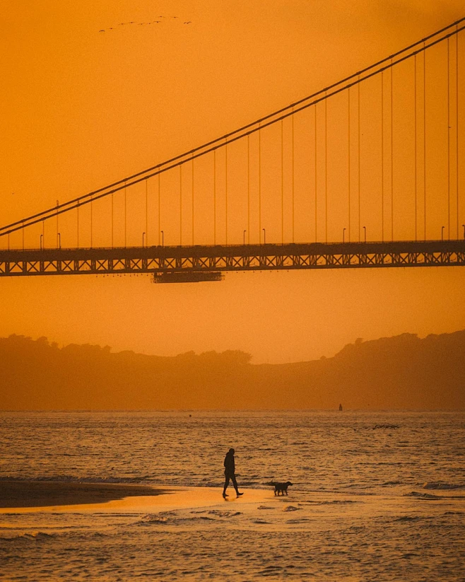 Joshua Singh-花瓣网