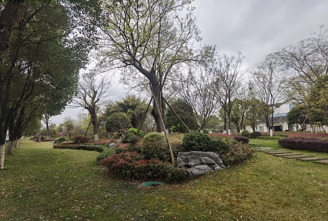 IMG_20230323_124507-花瓣网