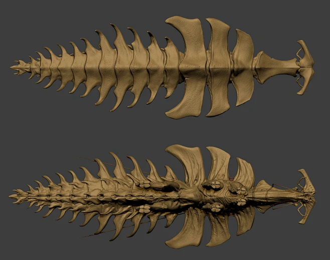 old wip shot-花瓣网