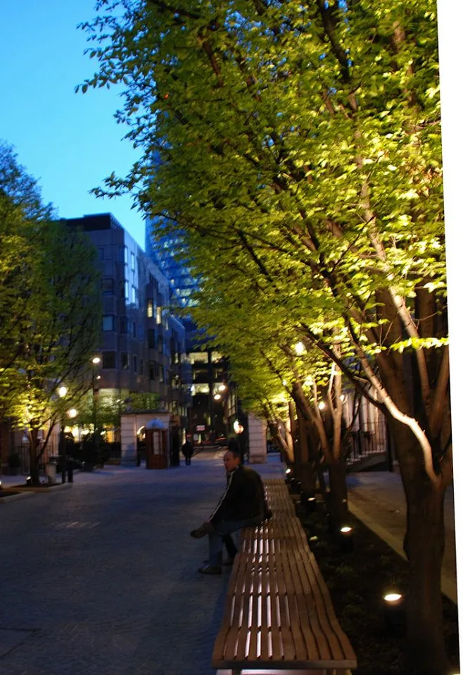 Tree Lighting-花瓣网