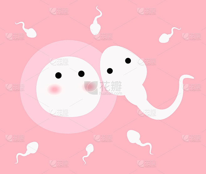 精子和卵子的卡通涂鸦。矢量图