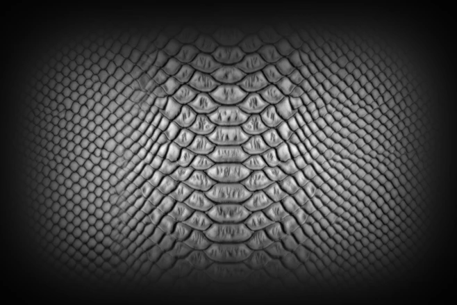 Lizard Skins Alpha Collection, Trouble_Shot VFX : A small collection on ...