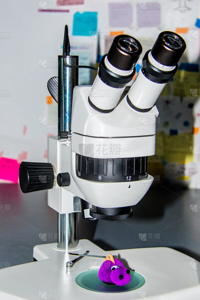 显微镜和微生物