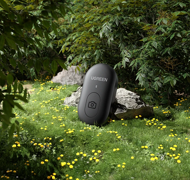 auto-orient,1 (1)-花瓣网