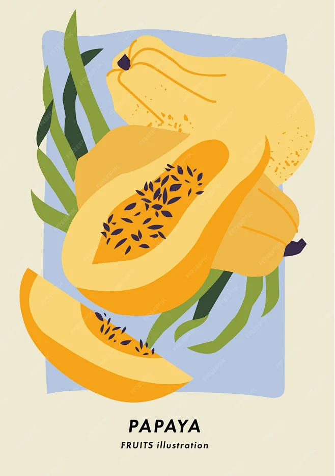 Vector illustration poster with papaya fruit Art for postcards wall art ...