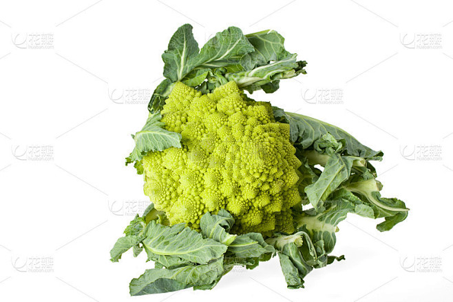 romanesco