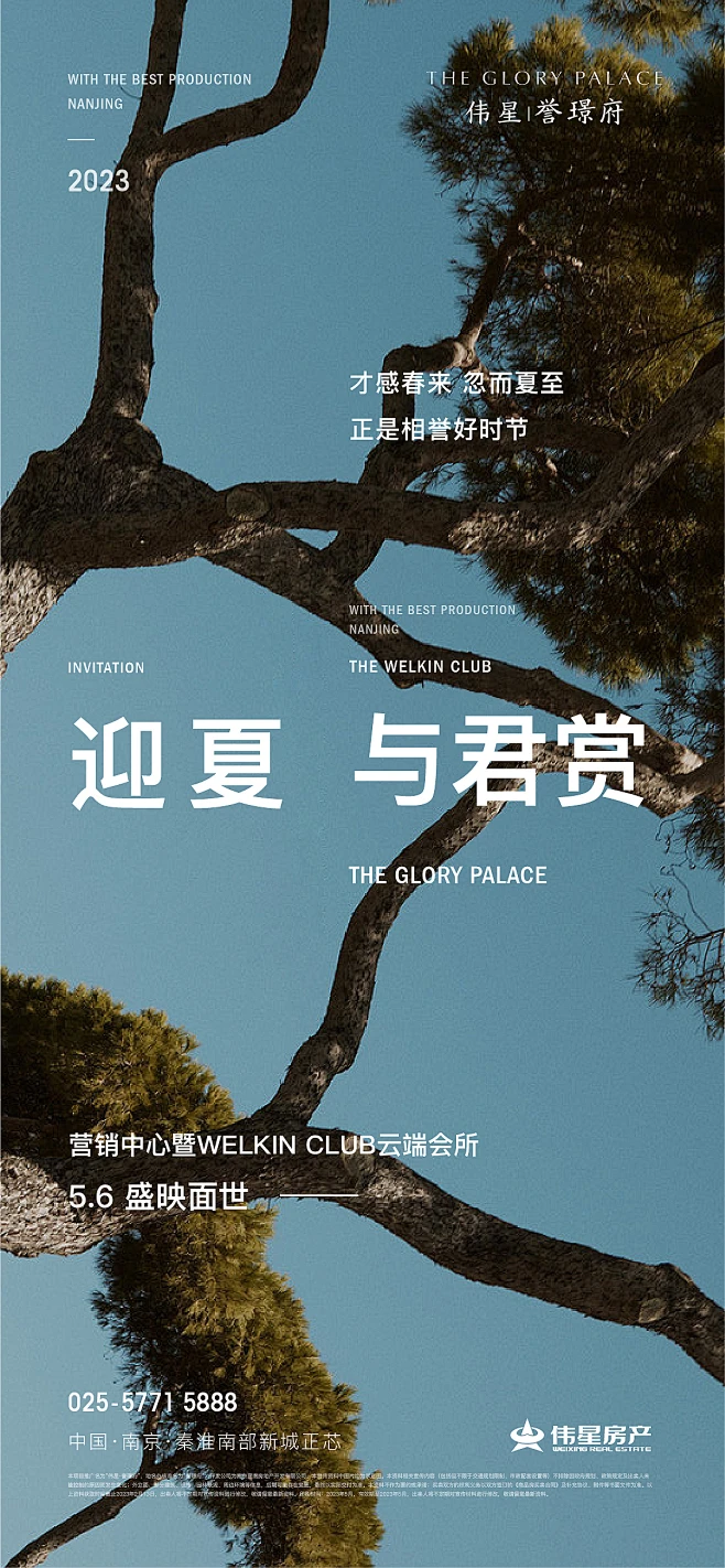 伟星夏日2-花瓣网