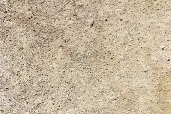 500426145-removebg-preview-花瓣网